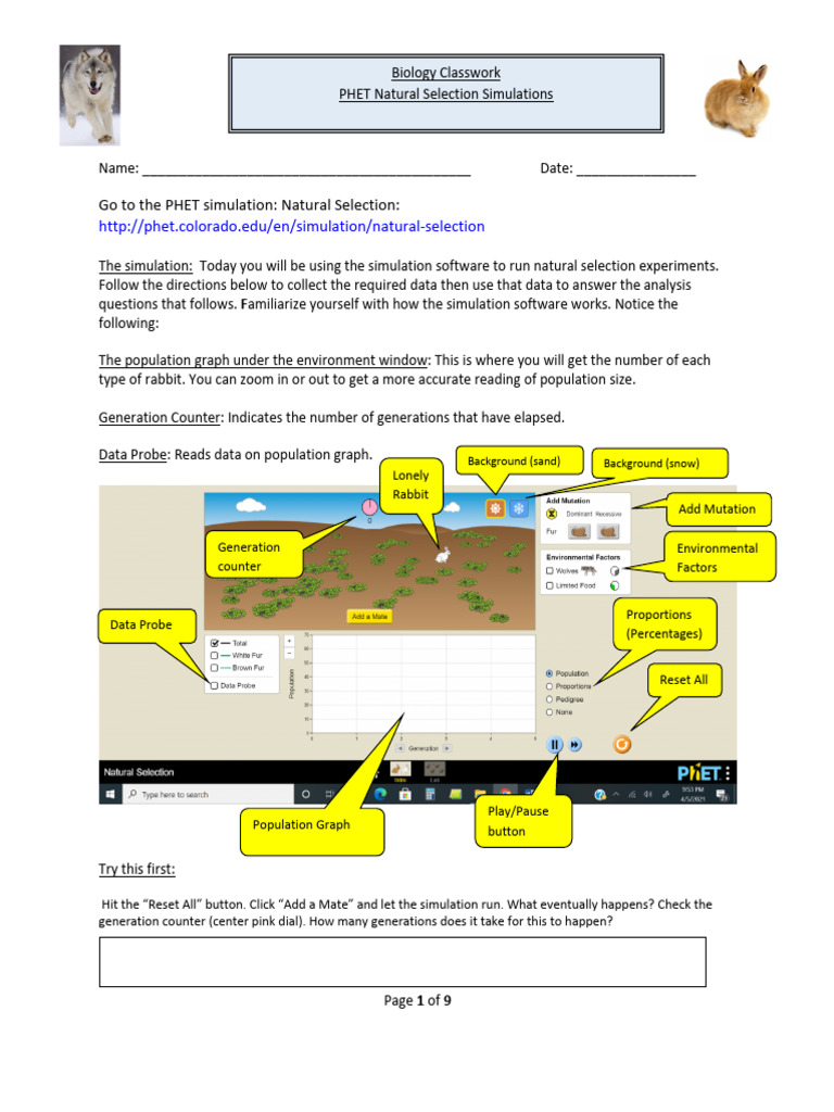 Natural Selection Simulation Guide | PDF | Tooth | Rabbit