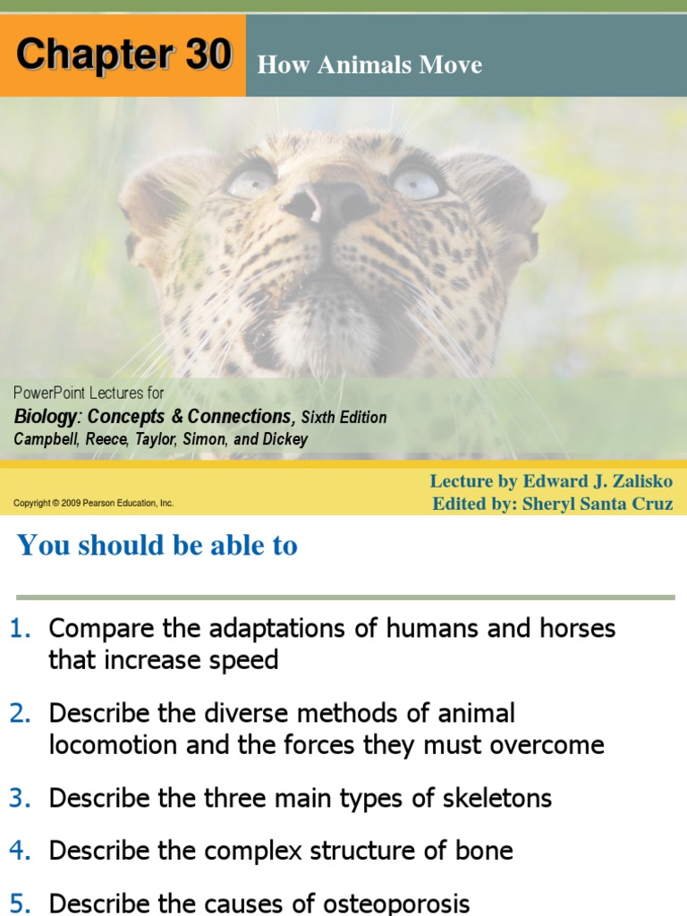 How Animals Move: Biology: Concepts & Connections | PDF | Skeleton ...