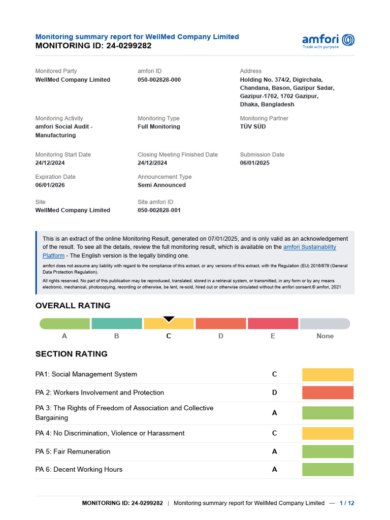 WellMed Company Limited Audit Summary | PDF | Discrimination | Employment