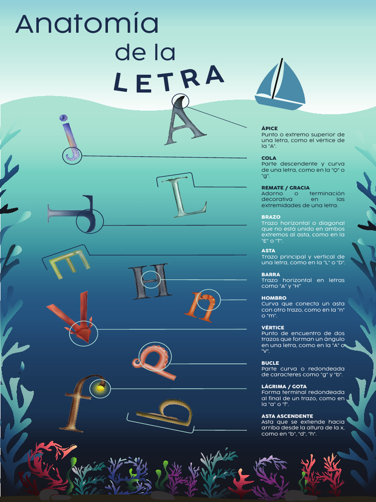 Partes de la Anatomía de la Letra | PDF