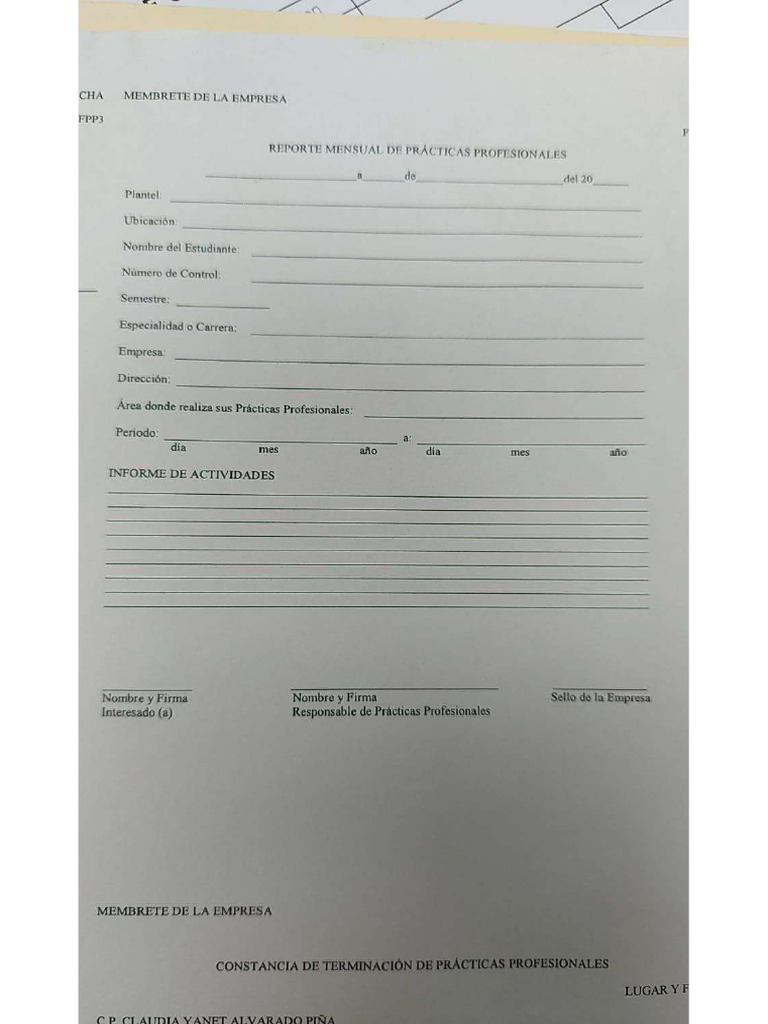 Reporte Mensual | PDF