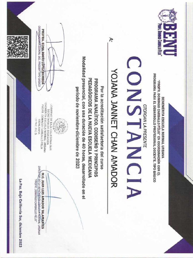 Constancias 2025 | PDF