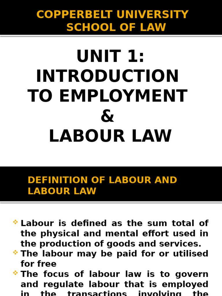 Employment and Labour Law Notes | PDF | Employment | Legal Liability