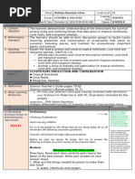 Activity Sheets Vertebrates | PDF | Invertebrate | Blood