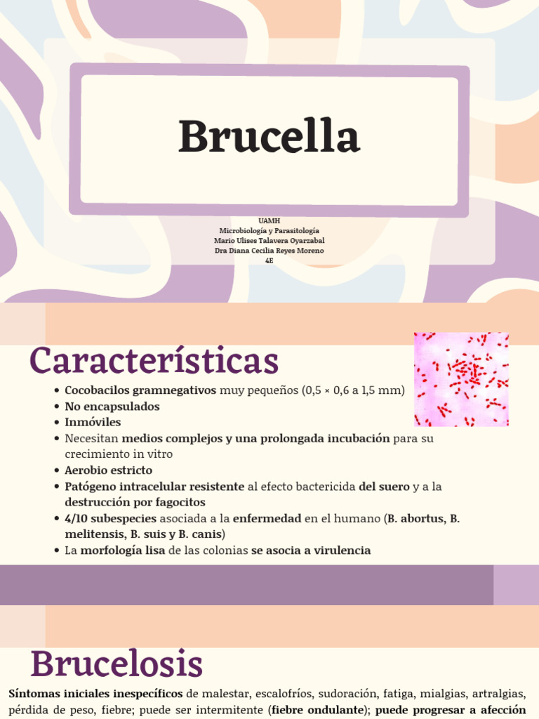 Brucella: Patología, Diagnóstico y Tratamiento | PDF | Especialidades ...