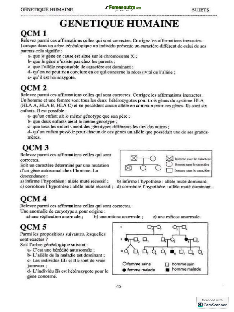 Qcm Génétique Humaine by Tehua (1) | PDF