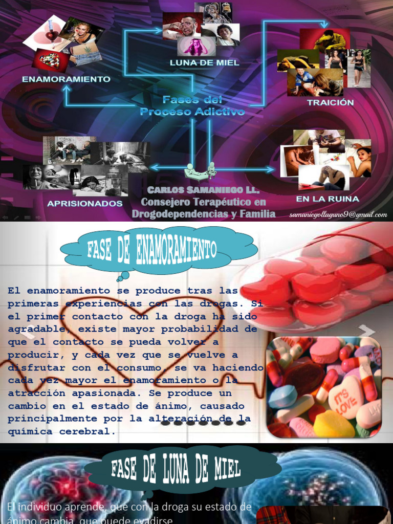 5 FASES DE LA ADICCION | PDF