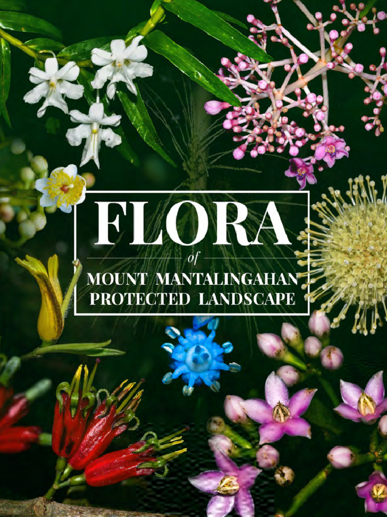 Flora of Mt. Mantalingahan | PDF | Conservation Biology | Protected Area