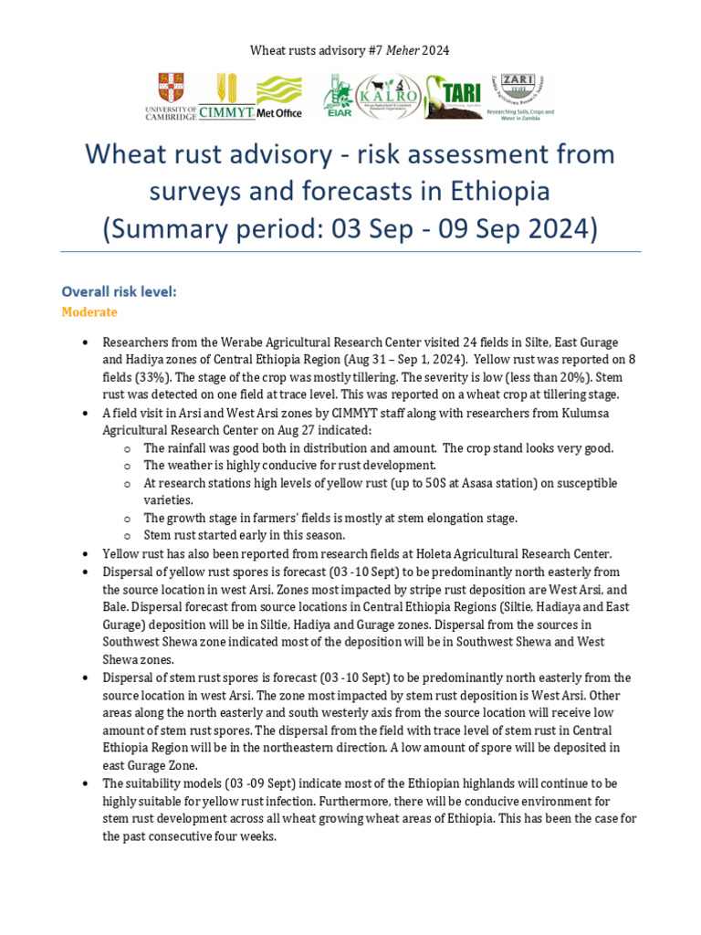 Wheat - Rust - Advisory No. 7 September 4 2024 | PDF | Wheat | Rain