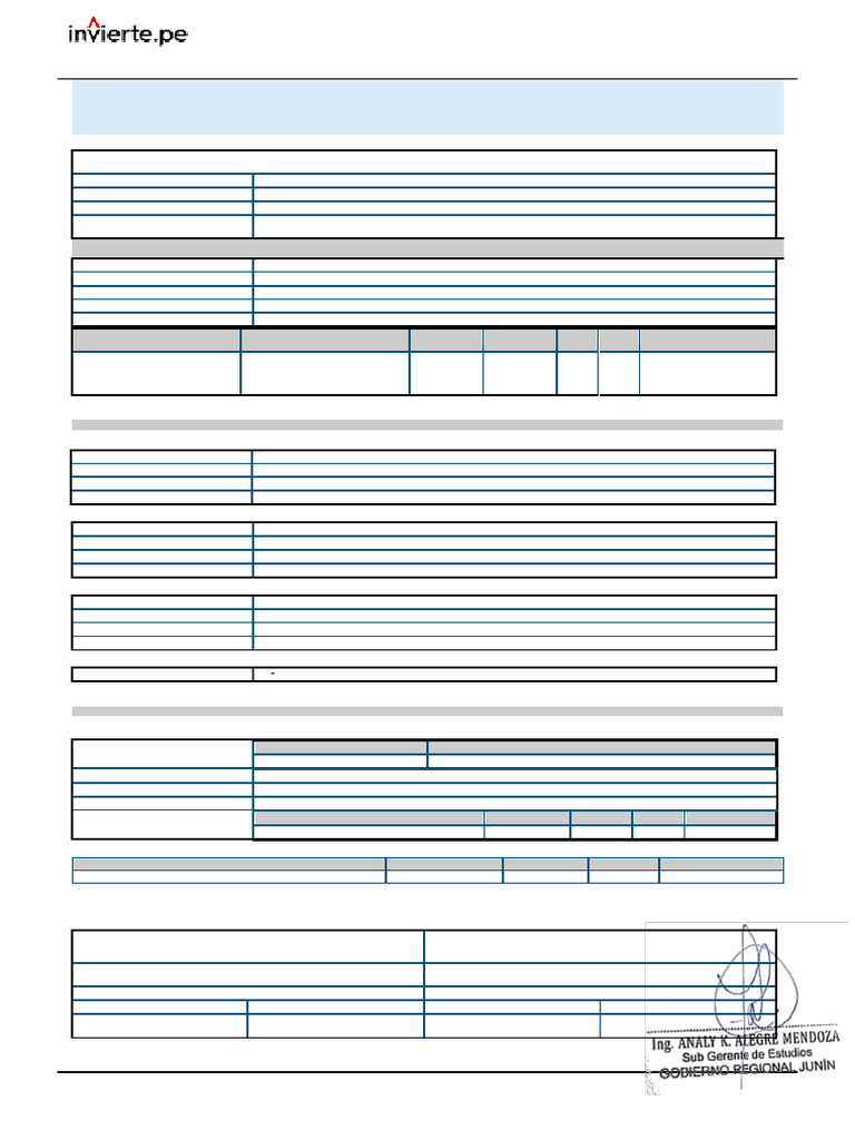 Formato 07a | PDF | Tasa interna de retorno | Inversiones