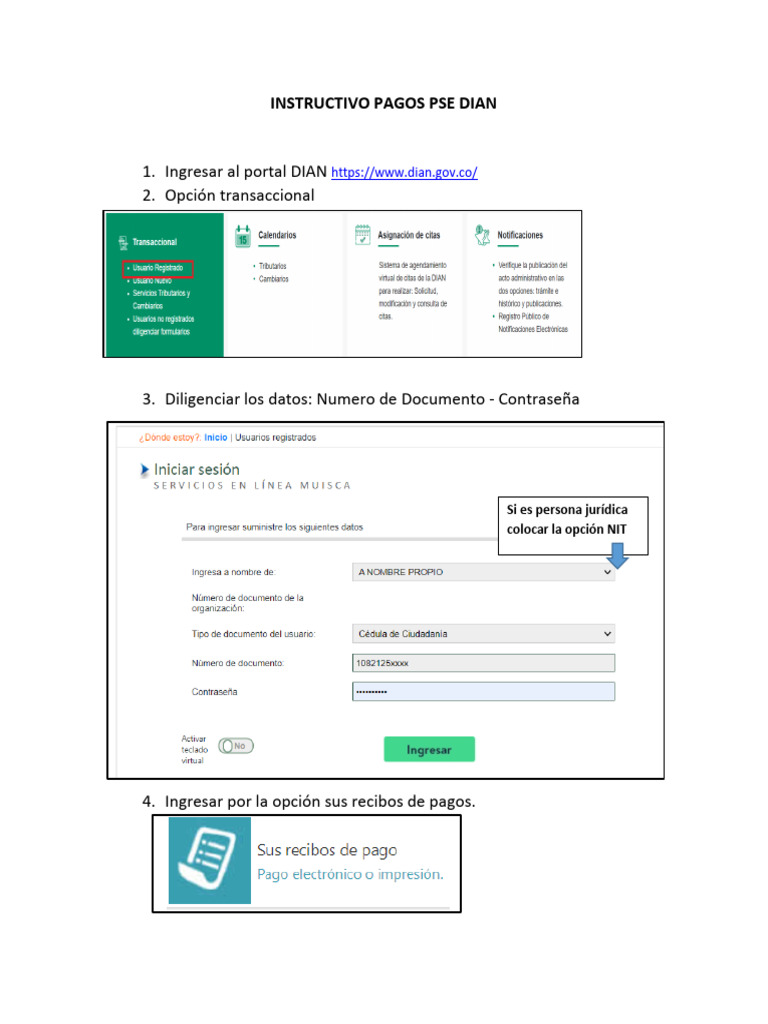 INSTRUCTIVO PAGOS PSE DIAN | PDF