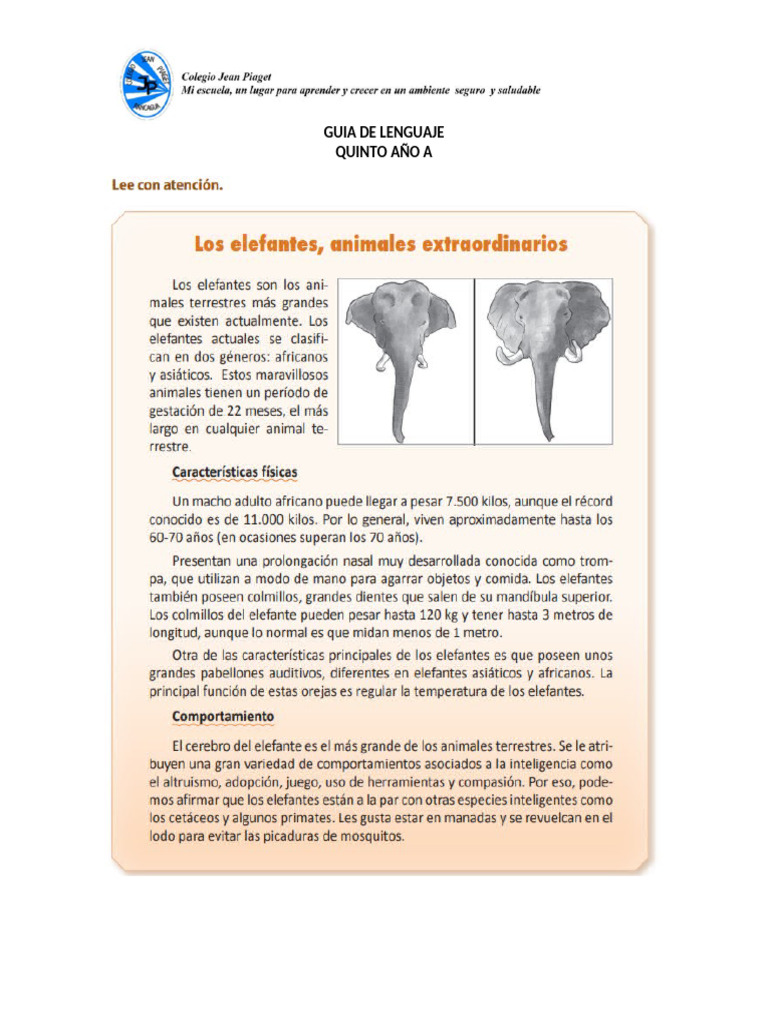 Lectura El Elefante Un Animal Extraordinario | PDF