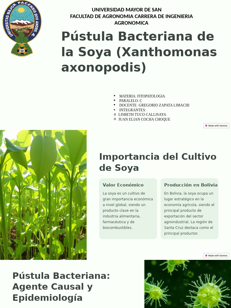 Pustula Bacteriana de La Soya Elian Cocha 6 | PDF | Agricultura | Haba ...