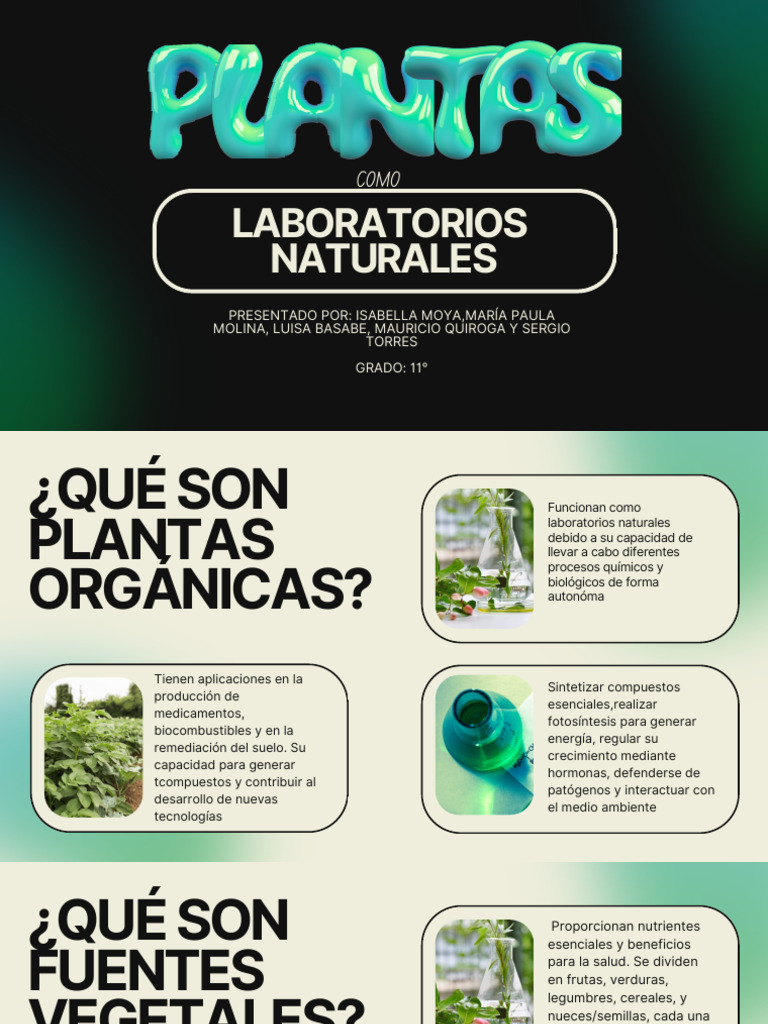 Plantas Como Laboratorios Naturales | PDF | Plantas | Alimentos