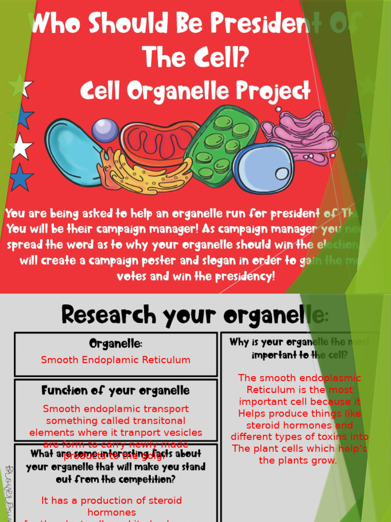 Who Should Be President of the Cell_ Cell Organelle Project | PDF