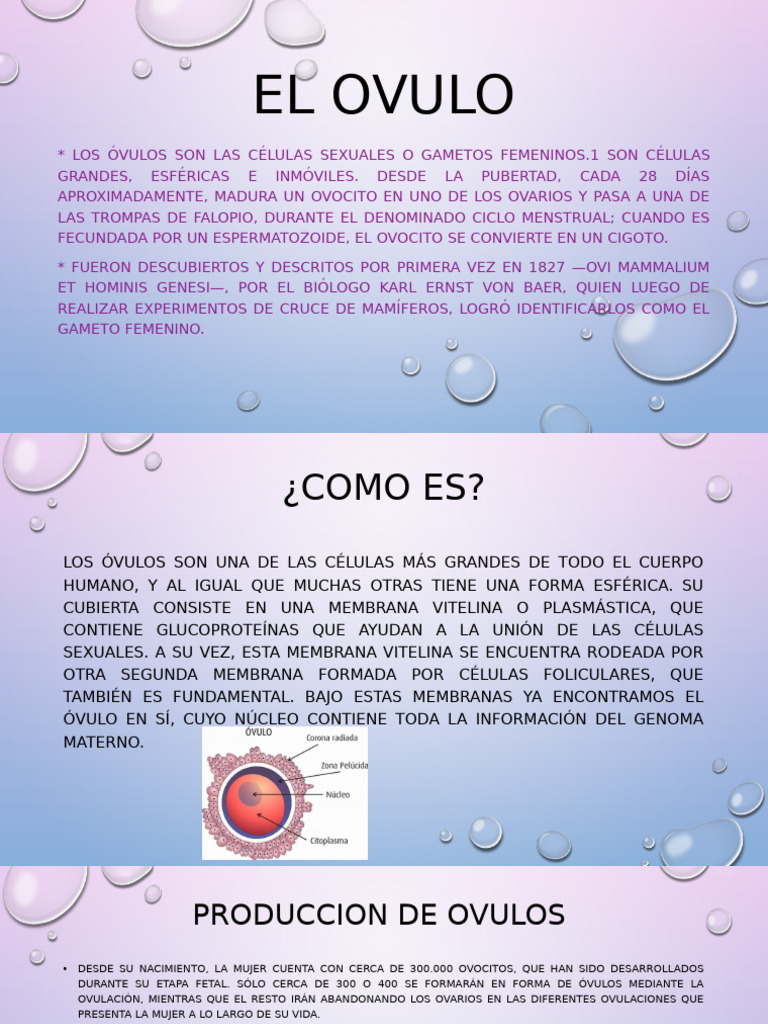 El Ovulo | PDF | Ovario | Ginecología