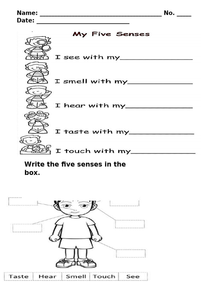 5 Senses Quiz Grade 1 | PDF