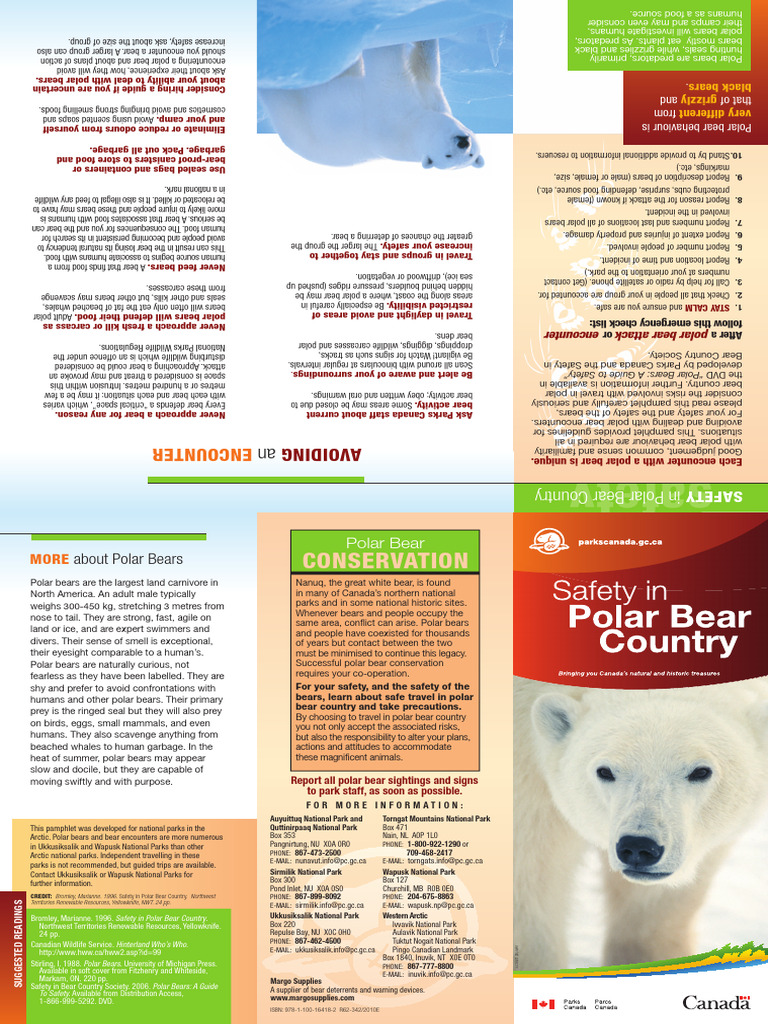 Polar Bear Safety Guidelines | PDF | Polar Bear | Bears