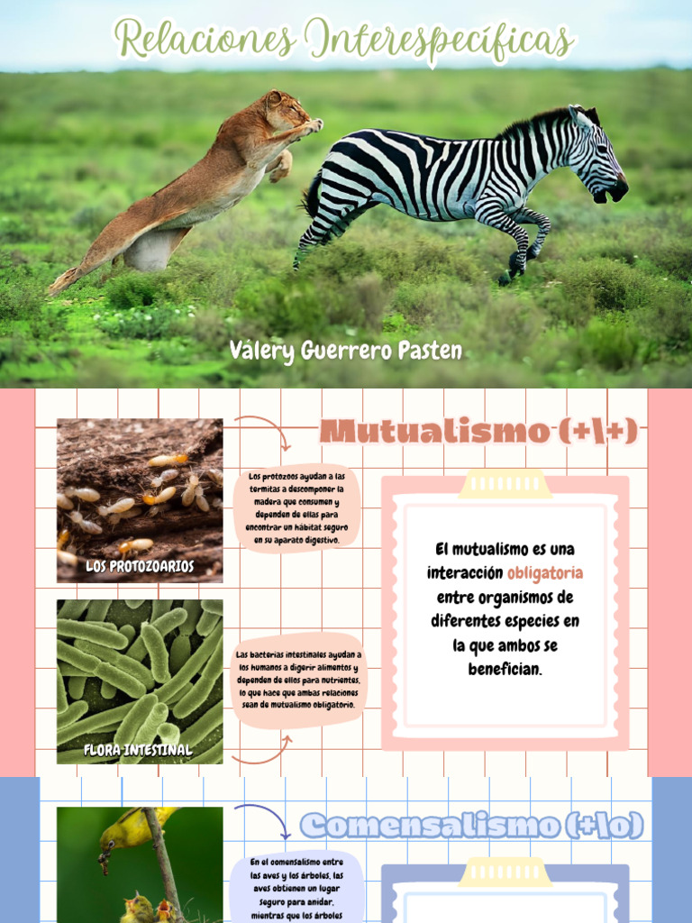 Biológia Relaciones Interespecíficas | PDF | Depredación | Polinización