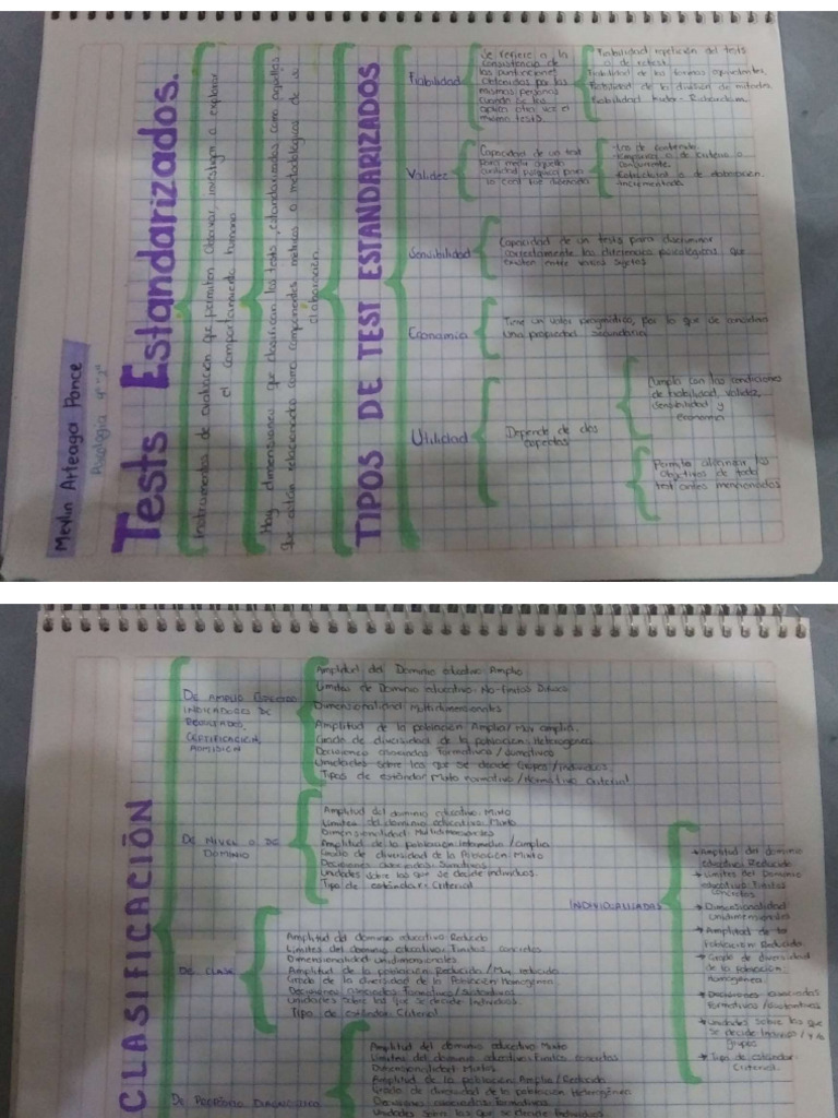 Tipos de Tests Psicológicos Estandarizados | PDF