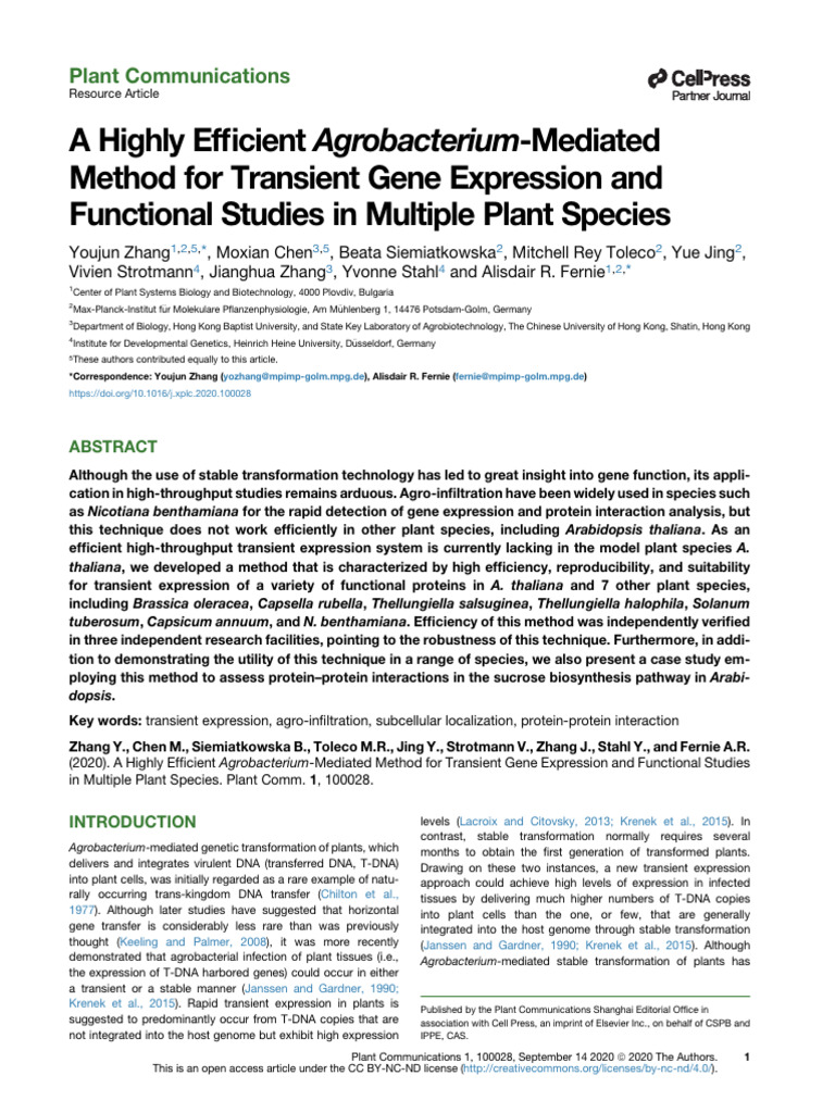 A-Highly-Efficient--em-Agrobacterium--em--Mediated | PDF | Arabidopsis ...