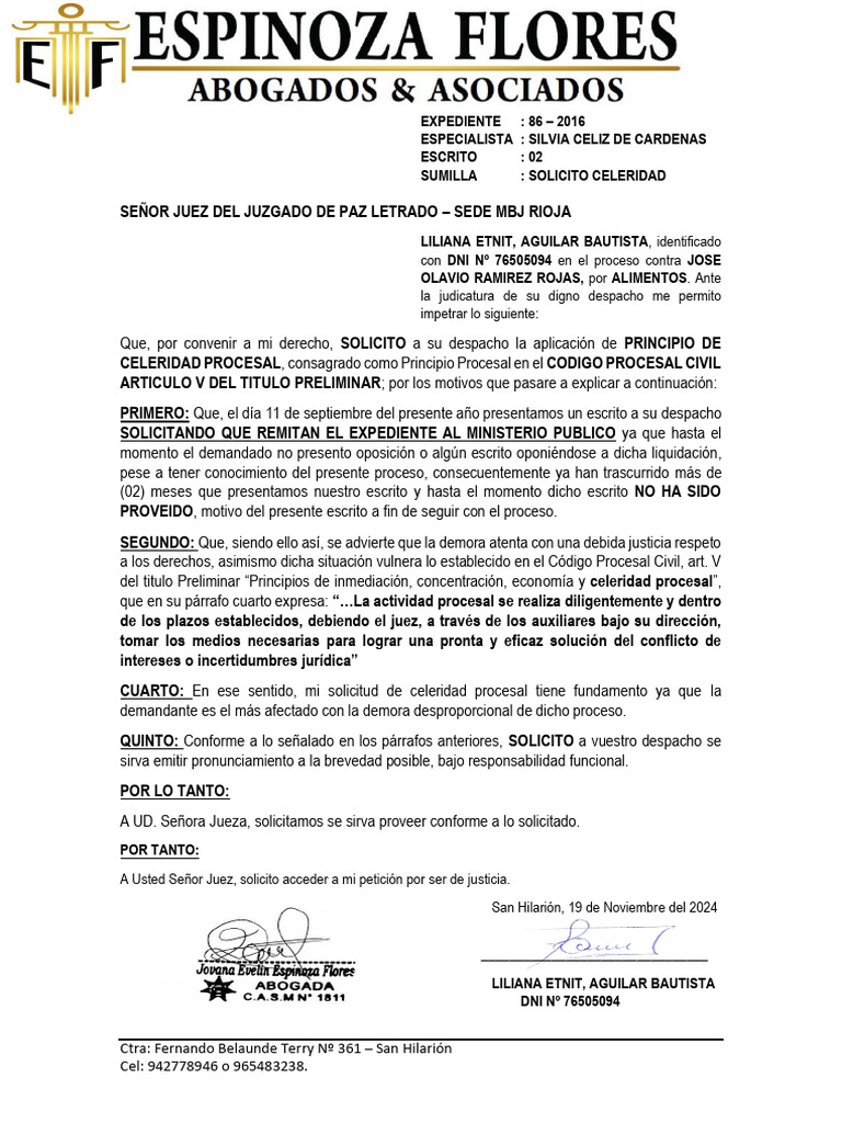 Solicito Celeridad Liliana | PDF | Ley procesal | Justicia