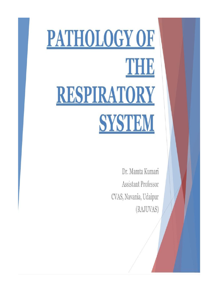 Respiratory System-1 | PDF