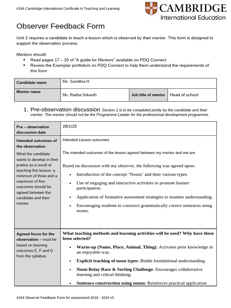 Observer Feedback on Noun Lesson | PDF | Learning | Mentorship