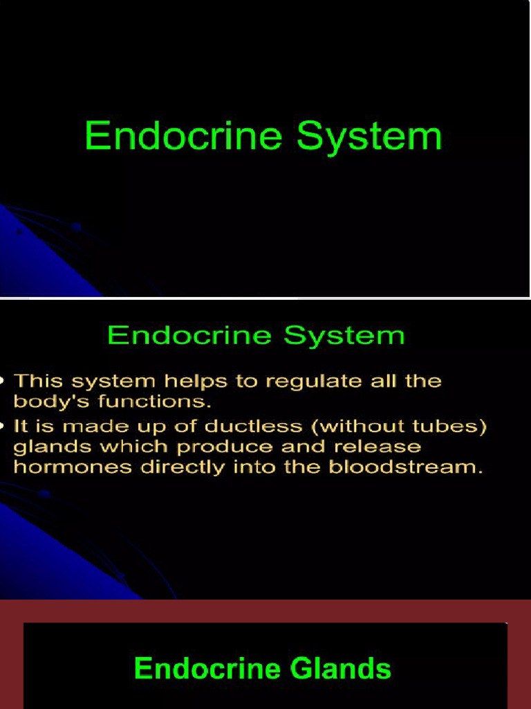 Endocrine System Presentation | PDF