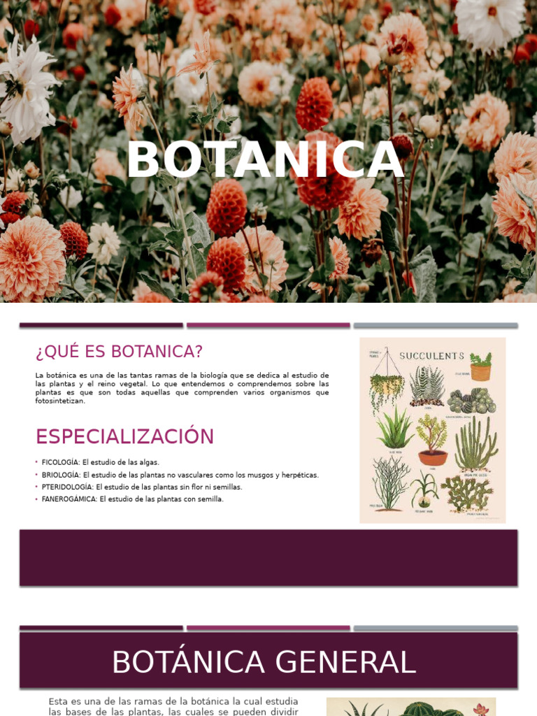 Definición de Botánica y sus Ramas | PDF