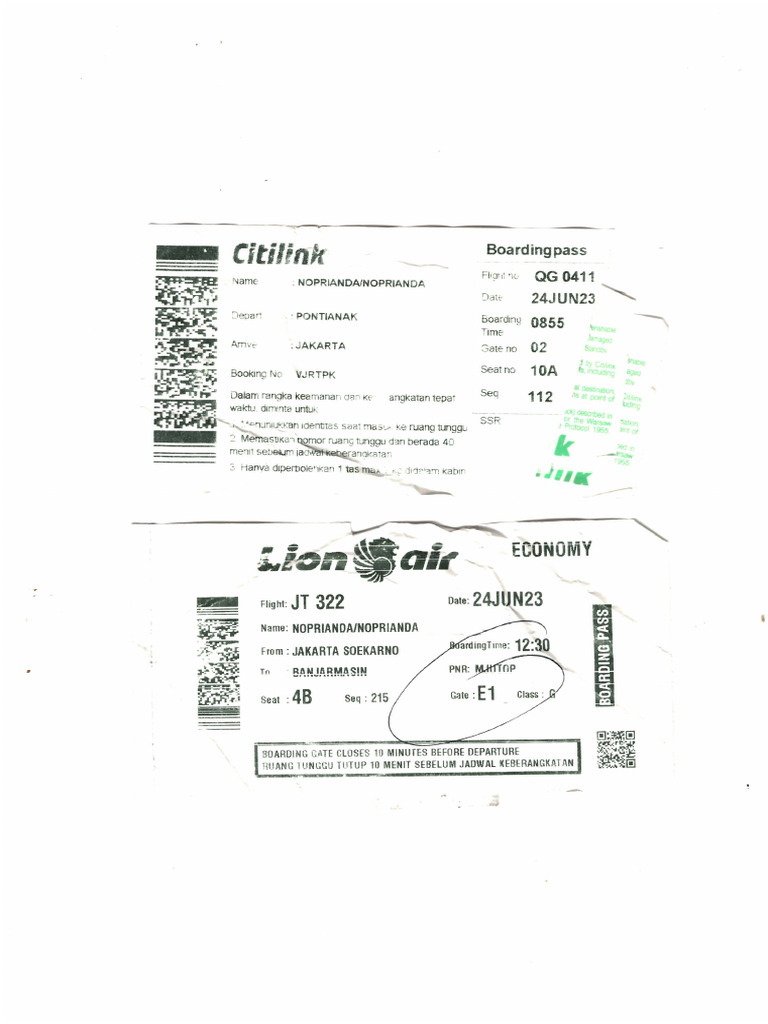 Boarding Pass | PDF