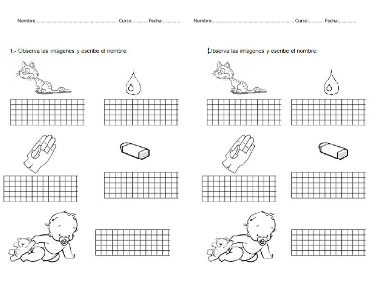 Actividad Gato | PDF