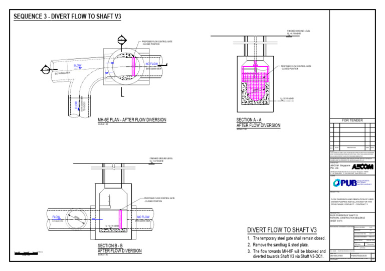 Pub DTSS2 2025 DN105 C 7005 | PDF