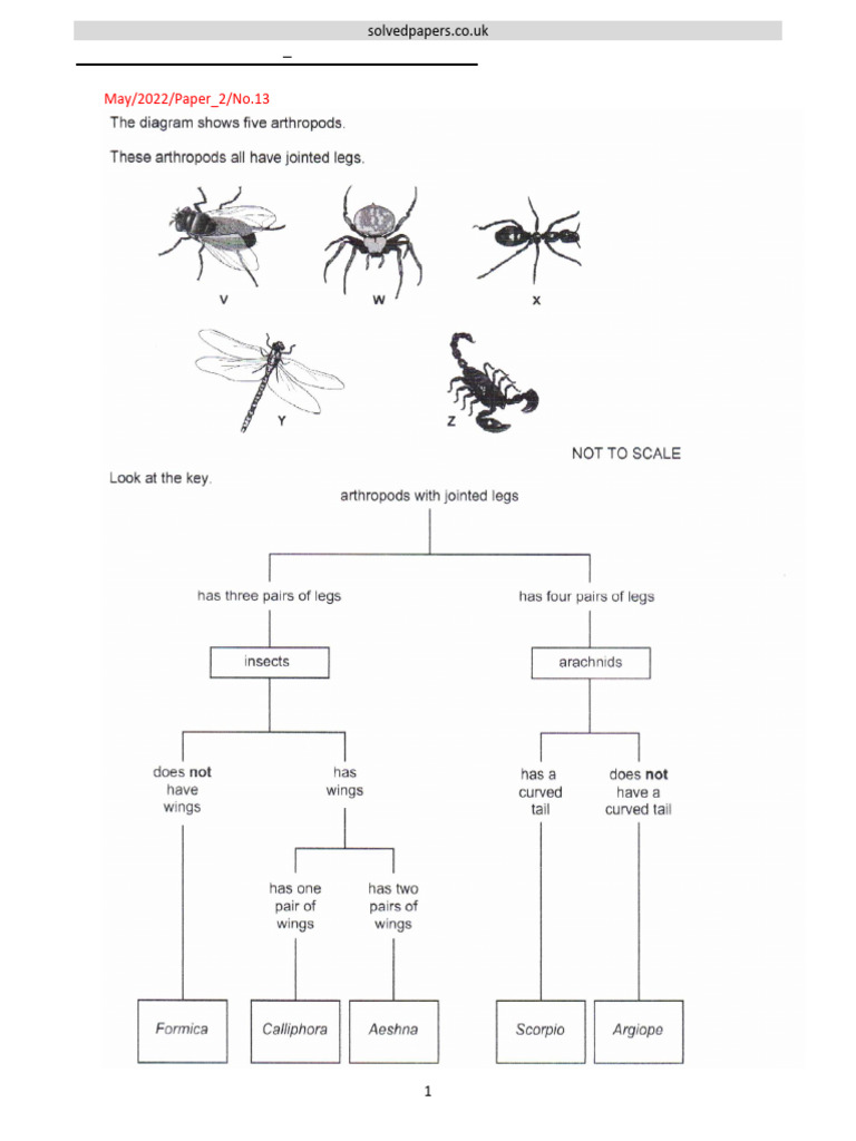 2022 17 Variations and Classification Checkpoint - Sec - 1 Biology ...
