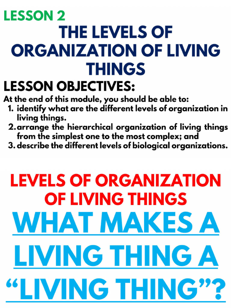 STM 007 Module 2 | PDF