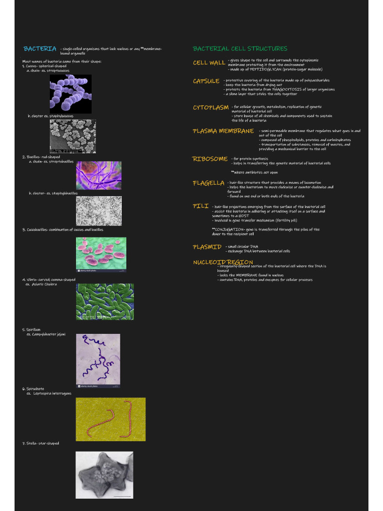 STM 007 Module 5 | PDF