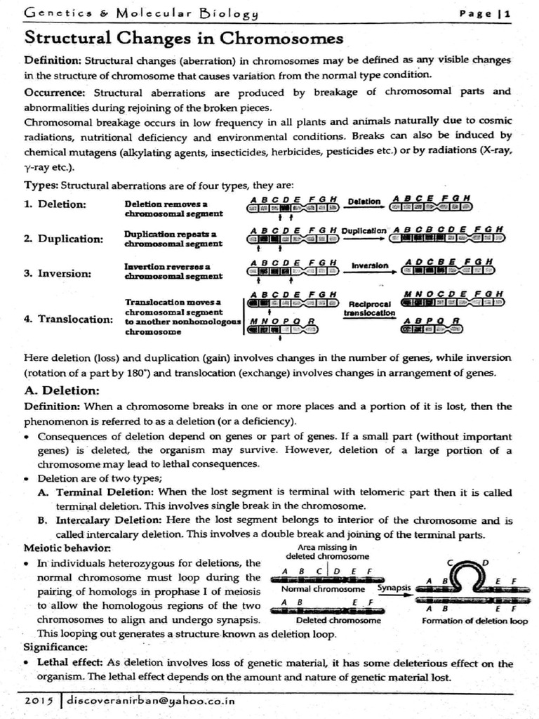 Structural Changes in Chromosomes Explained | PDF | Meiosis | Gene Duplication