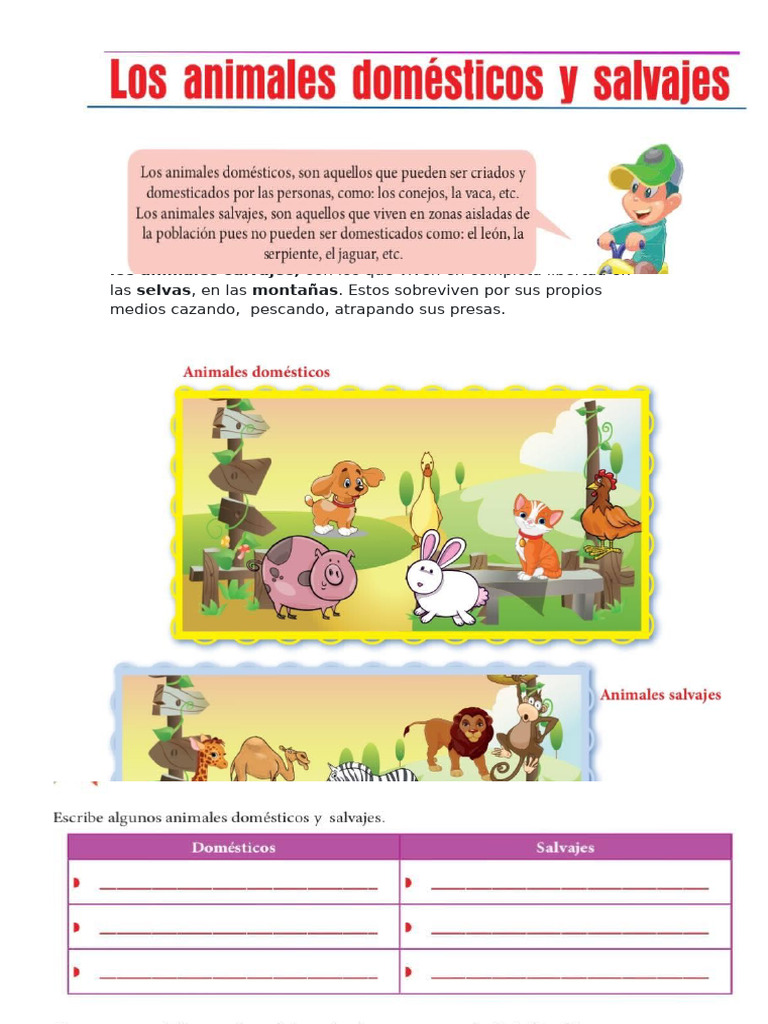 Los Animales Domésticos y Salvajes | PDF