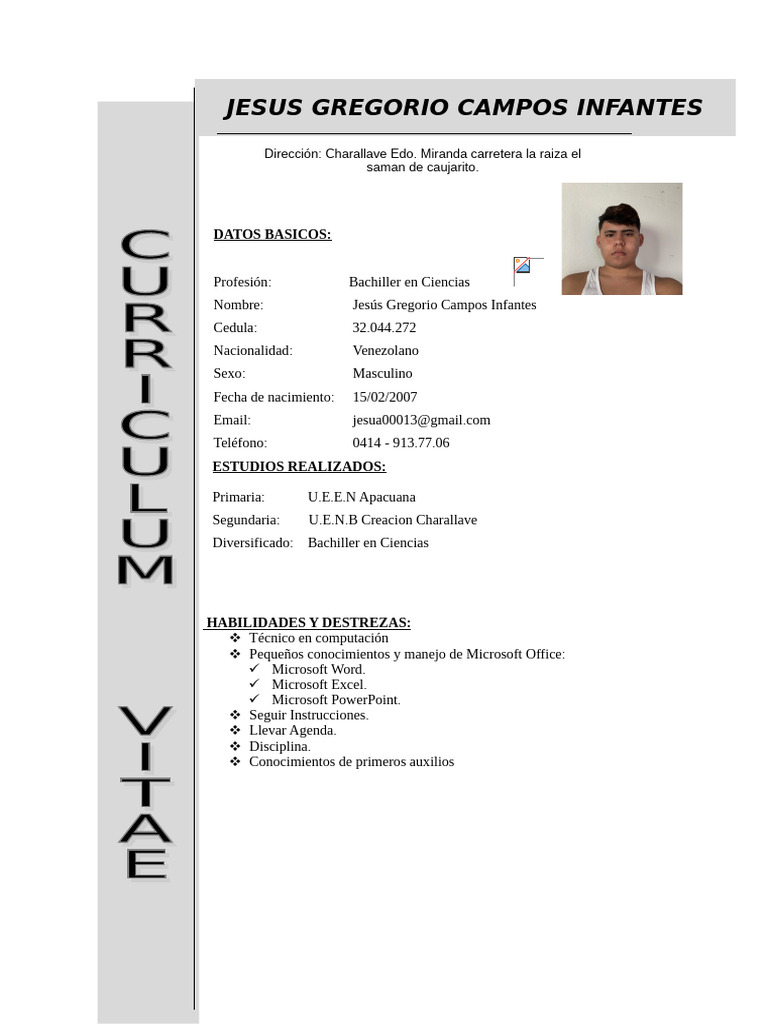 Curriculum Jesus Antonio | PDF