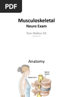 Tone, Power, and Reflexes Examination | PDF | Anatomical Terms Of ...