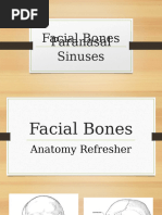 Sinuses Positioning Chart | PDF | Skull | Human Nose