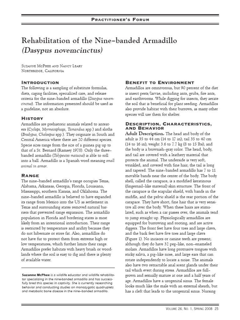 Nine-Banded Armadillo Rehabilitation Guide | PDF