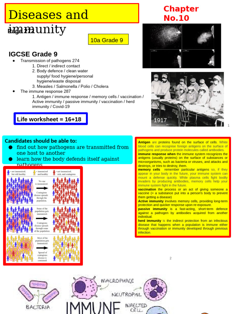 Diseases, Immunity, and Pathogen Transmission | PDF | Immune System | Cholera