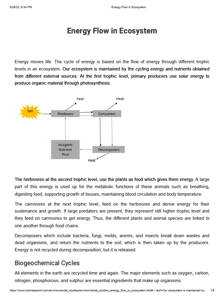Energy Flow in Ecosystem | PDF | Ecosystem | Food Web