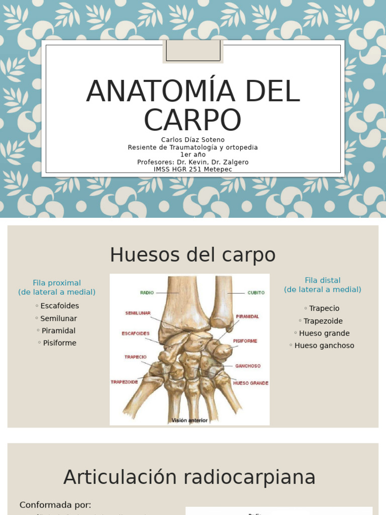 Anatomía del Carpo y Ligamentos | PDF | Articulación | Sistema ...