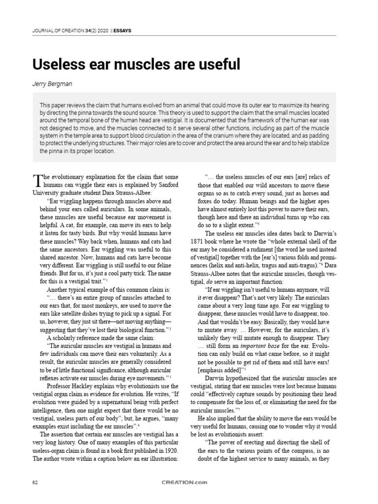 Useless Ear Muscles Are Useful | PDF | Ear