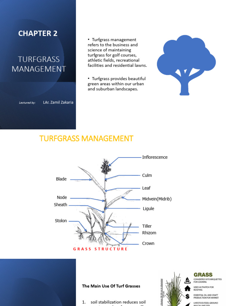 Chapter 2_TURFGRASS MANAGEMENT | PDF | Sod | Lawn