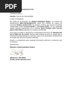 Carta de No Siniestro | PDF
