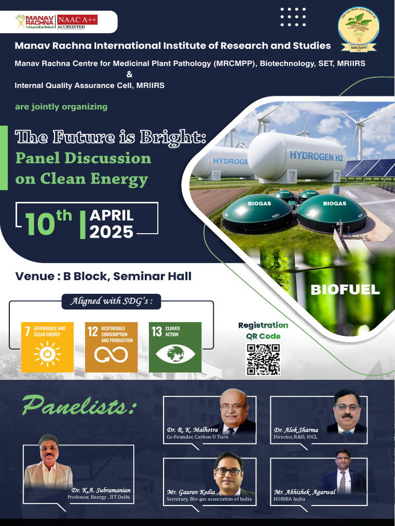 The Future Is Bright Panel Discussion On Clean Energy Brochures | PDF