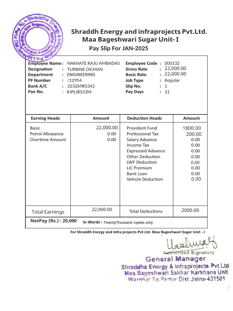 January 2025 Employee Pay Slip | PDF